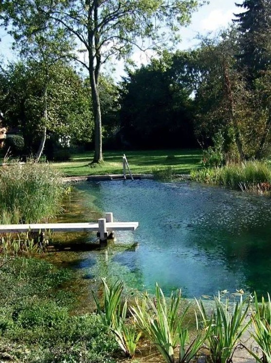 40 Natural Swimming Ponds To Refresh Yourself - DigsDigs
