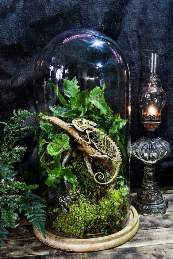 50 Cool And Catchy Halloween Terrariums - DigsDigs