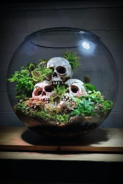 50 Cool And Catchy Halloween Terrariums - DigsDigs