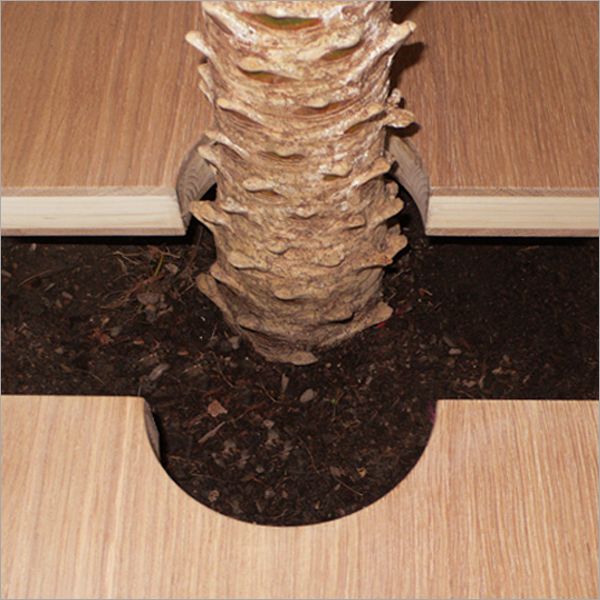 Cool Dining Tables with Integrated Small Trees by Mezza Style - DigsDigs