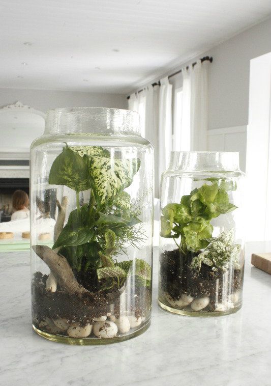 73 Adorable Spring Terrariums For Home Décor - DigsDigs