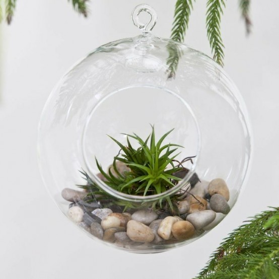 73 Adorable Spring Terrariums For Home Décor - DigsDigs