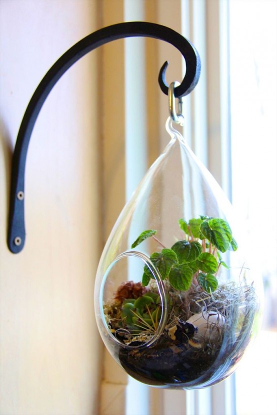 73 Adorable Spring Terrariums For Home Décor - DigsDigs