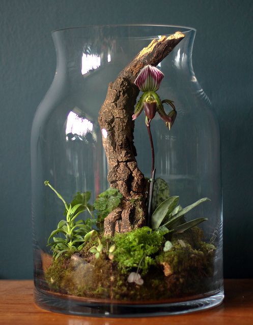 73 Adorable Spring Terrariums For Home Décor - DigsDigs