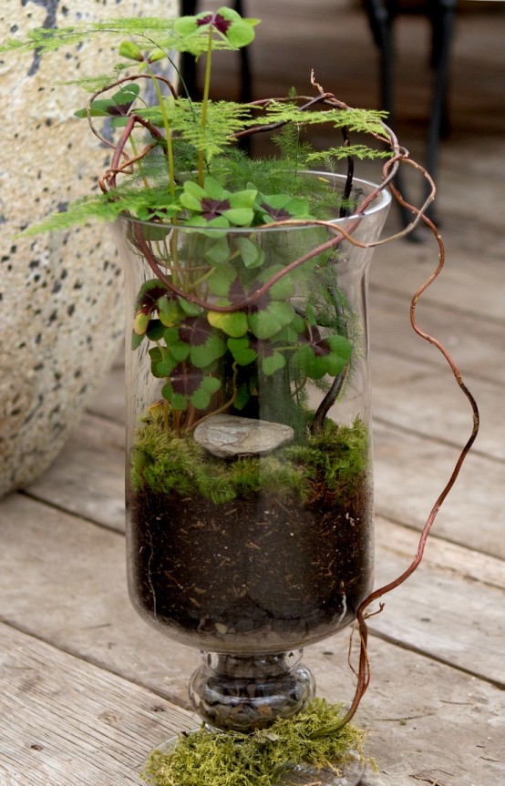73 Adorable Spring Terrariums For Home Décor - DigsDigs