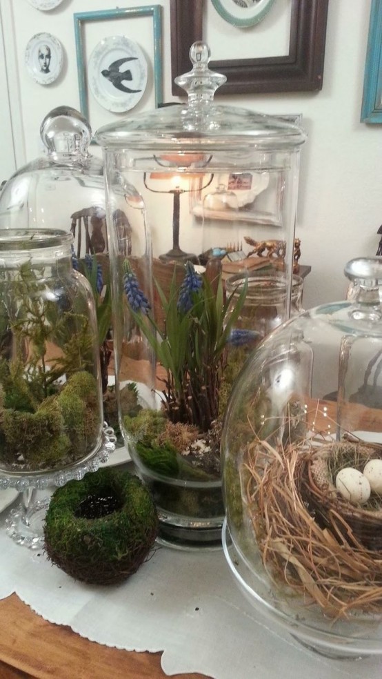 73 Adorable Spring Terrariums For Home Décor - DigsDigs