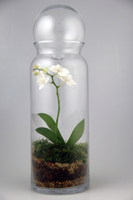 73 Adorable Spring Terrariums For Home Décor - DigsDigs