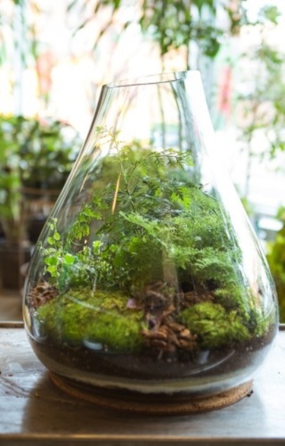 73 Adorable Spring Terrariums For Home Décor - DigsDigs