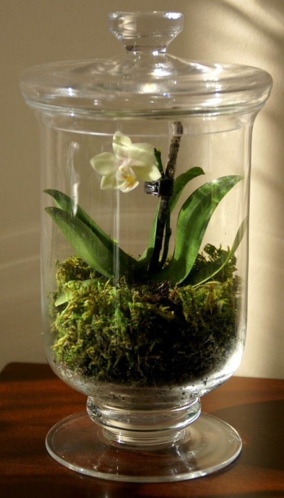 73 Adorable Spring Terrariums For Home Décor - DigsDigs