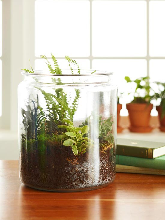 73 Adorable Spring Terrariums For Home Décor - DigsDigs