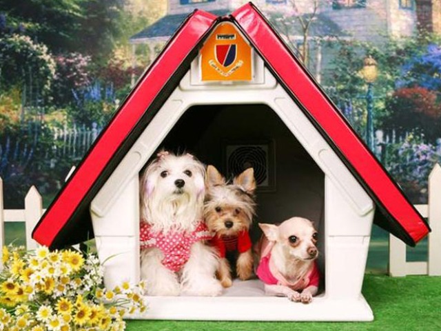 31 Awesome Creative Pet Homes For Any Type Of Interior | DigsDigs