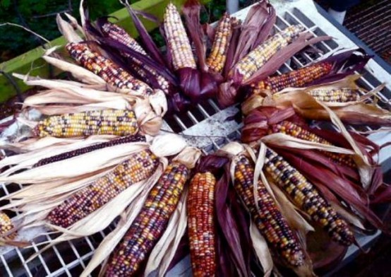 39 Awesome Corn Cob And Husk Wreaths - DigsDigs