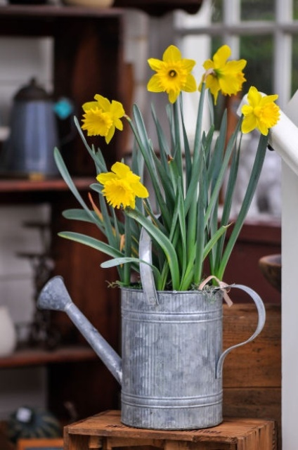 54 Cool Daffodils Décor Ideas To Welcome Spring - DigsDigs