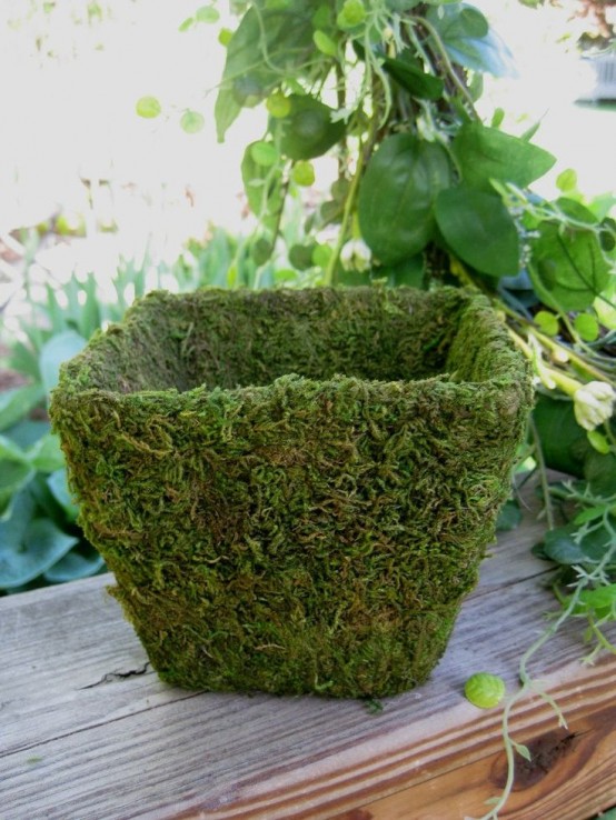 45 Cool Spring Moss Outdoor And Indoor Décor Ideas - DigsDigs