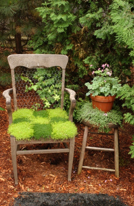 45 Cool Spring Moss Outdoor And Indoor Décor Ideas - DigsDigs
