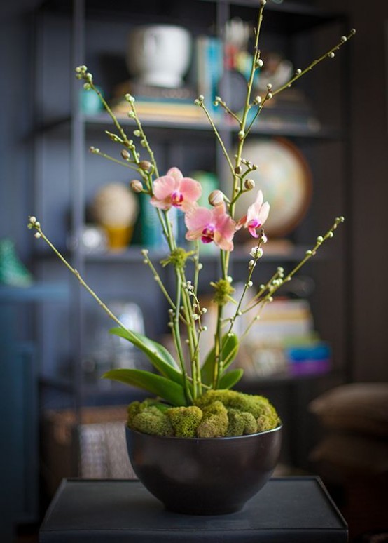 45 Cool Spring Moss Outdoor And Indoor Décor Ideas - DigsDigs
