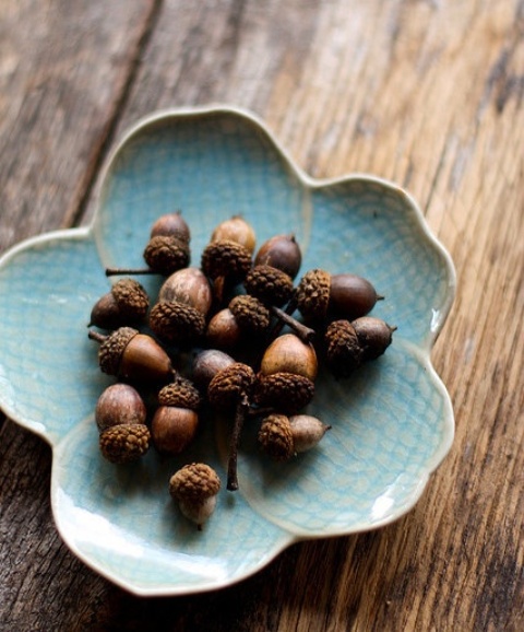 45 Cozy Acorn Décor Ideas For Your Home - DigsDigs