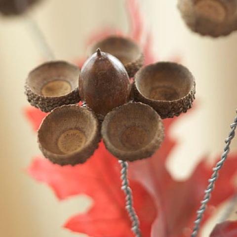 45 Cozy Acorn Décor Ideas For Your Home - DigsDigs