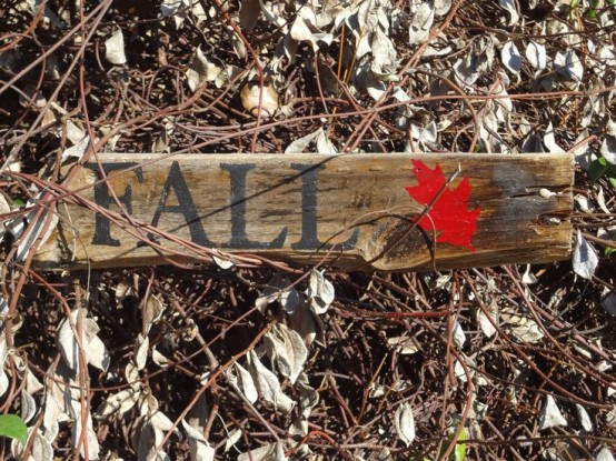 56 Creative And Cute Fall Signs To Welcome Autumn - DigsDigs