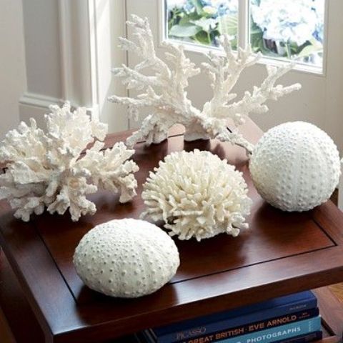Decorating With Sea Corals: 52 Stylish Ideas - DigsDigs