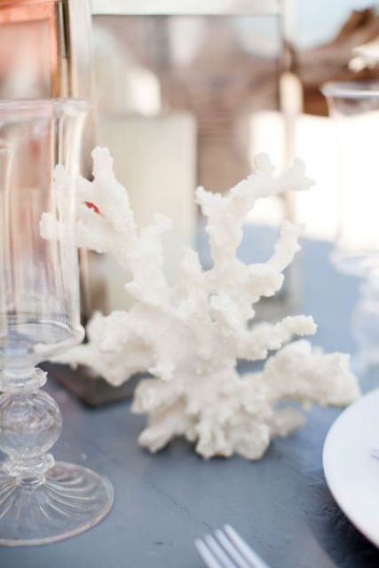 Decorating With Sea Corals: 52 Stylish Ideas - DigsDigs