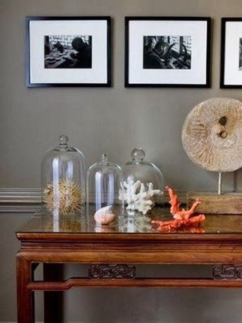 Decorating With Sea Corals: 52 Stylish Ideas - DigsDigs