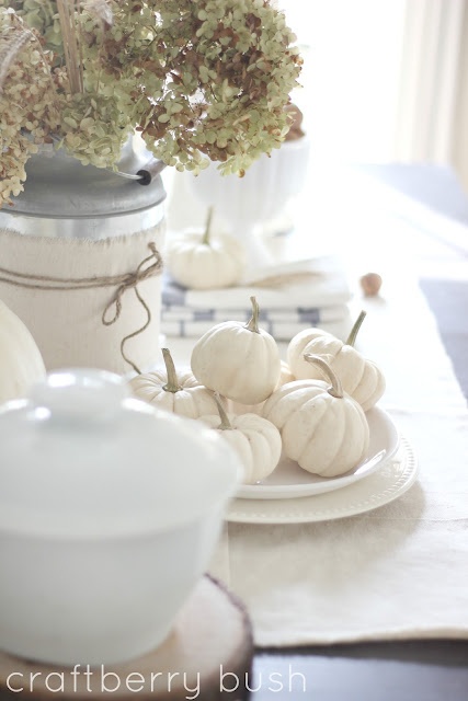 61 Exquisite White Fall Décor Ideas - DigsDigs