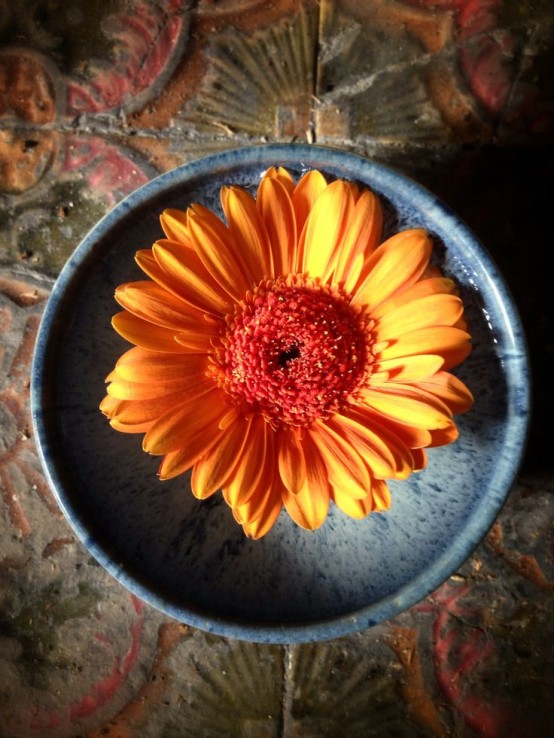 Summer Home Décor: 26 Floating Flowers Arrangements - DigsDigs