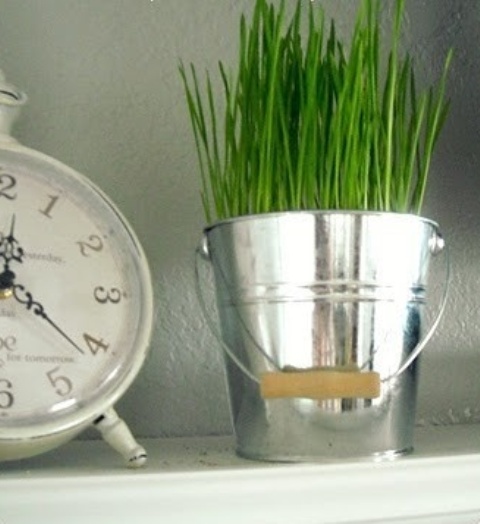 49 Fresh Wheatgrass Home Décor Ideas To Try In Spring - DigsDigs