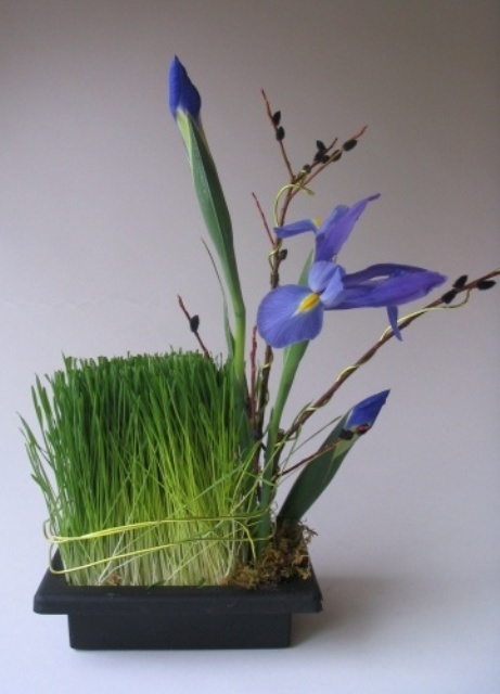 49 Fresh Wheatgrass Home Décor Ideas To Try In Spring - DigsDigs