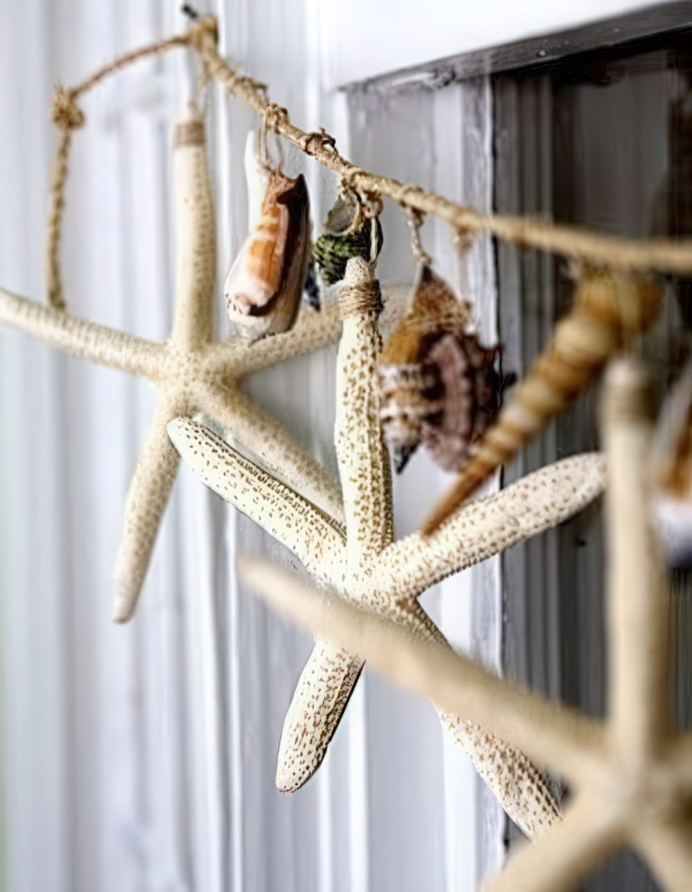 How To Decorate With Seashells: 37 Inspiring Ideas - DigsDigs