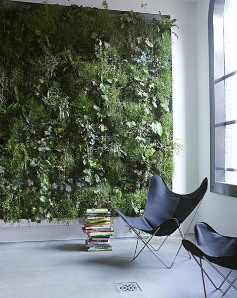 16 Peaceful Indoor Living Wall Designs For Any Home - DigsDigs